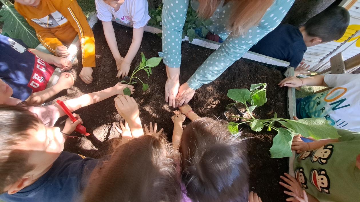 ΣΥΝΔΥΑΖΟΥΜΕ ΤΗΝ ΑΓΓΛΙΚΗ ΓΛΩΣΣΑ ΜΕ ΔΡΑΣΕΙΣ ΓΙΑ ΤΗ ΦΥΣΗ - lilipoupoli